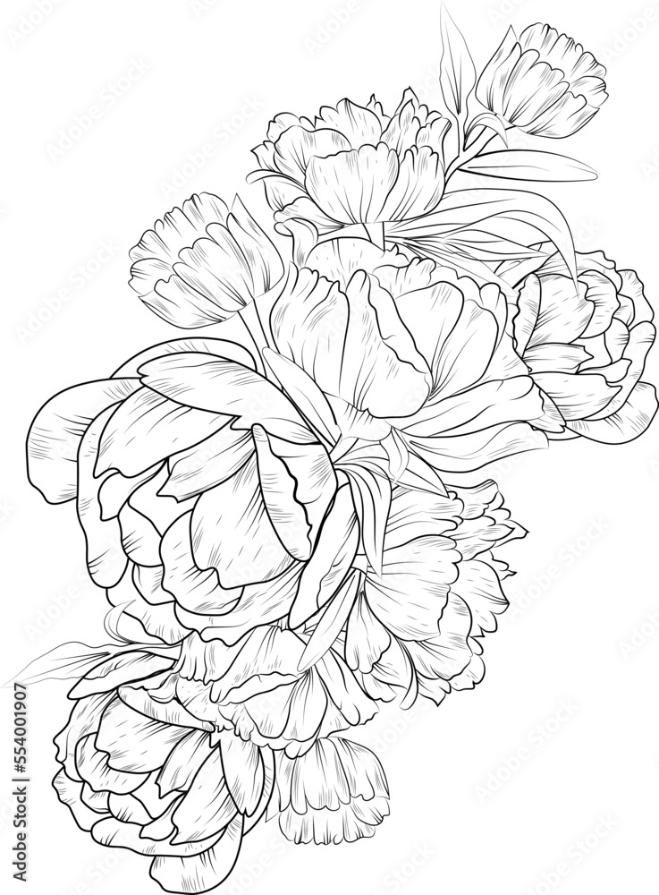 Hand-drawn peony flower bouquet vector sketch illustration engraved ink ...