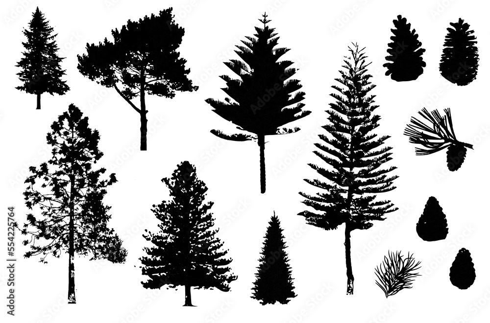 Pine set. silhouette tree line black shadow, Side view, set of graphics trees elements outline ...
