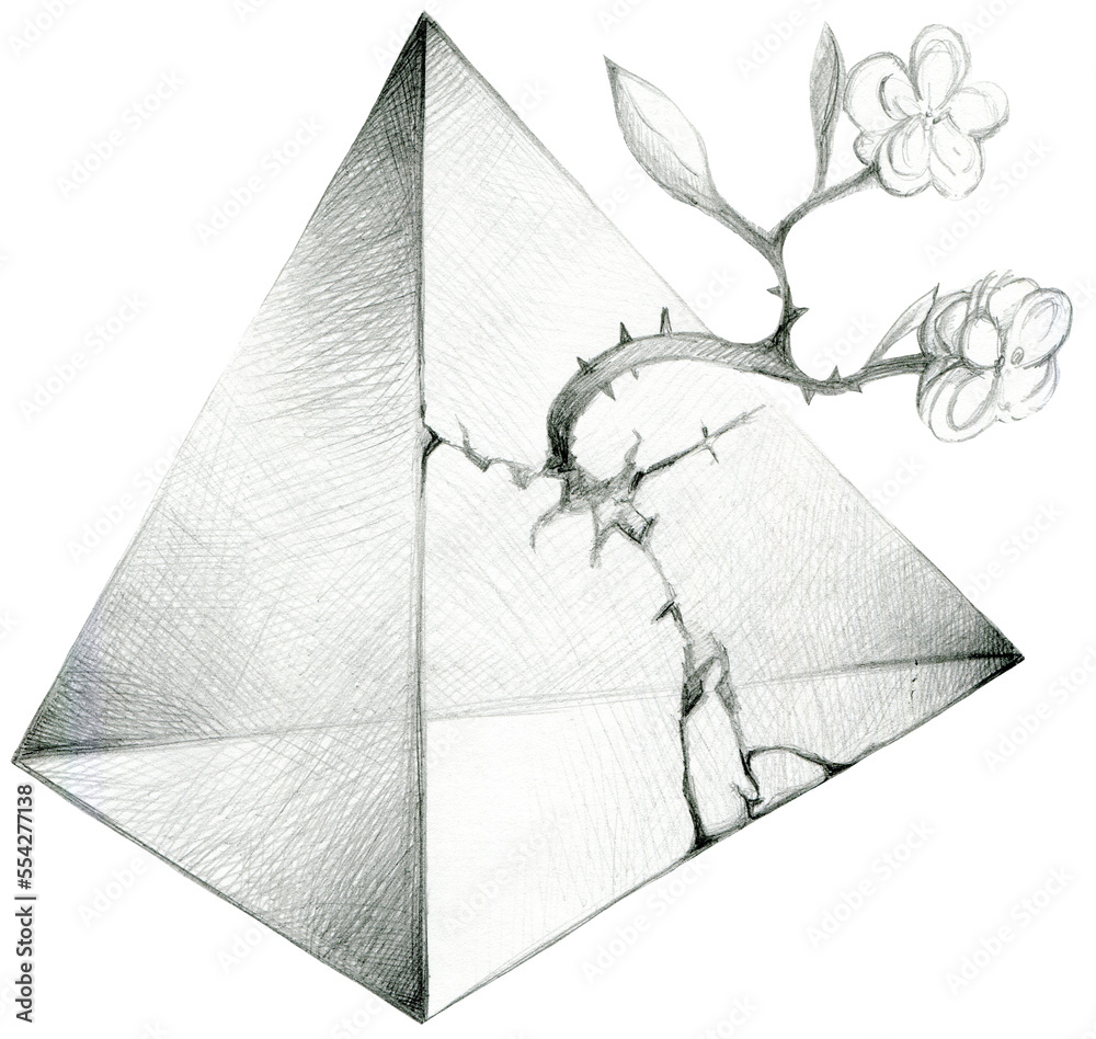 Hand drawn illustration of a pyramid and a flower, abstract black and ...