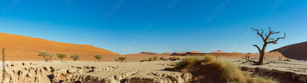 Deadvlei, a white clay pan surrounded by the highest sand dunes in the ...