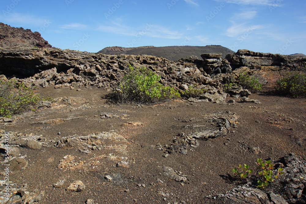 Volcanic landscapes of Lanzarote. Solidified lava, lava chimney, lava ...