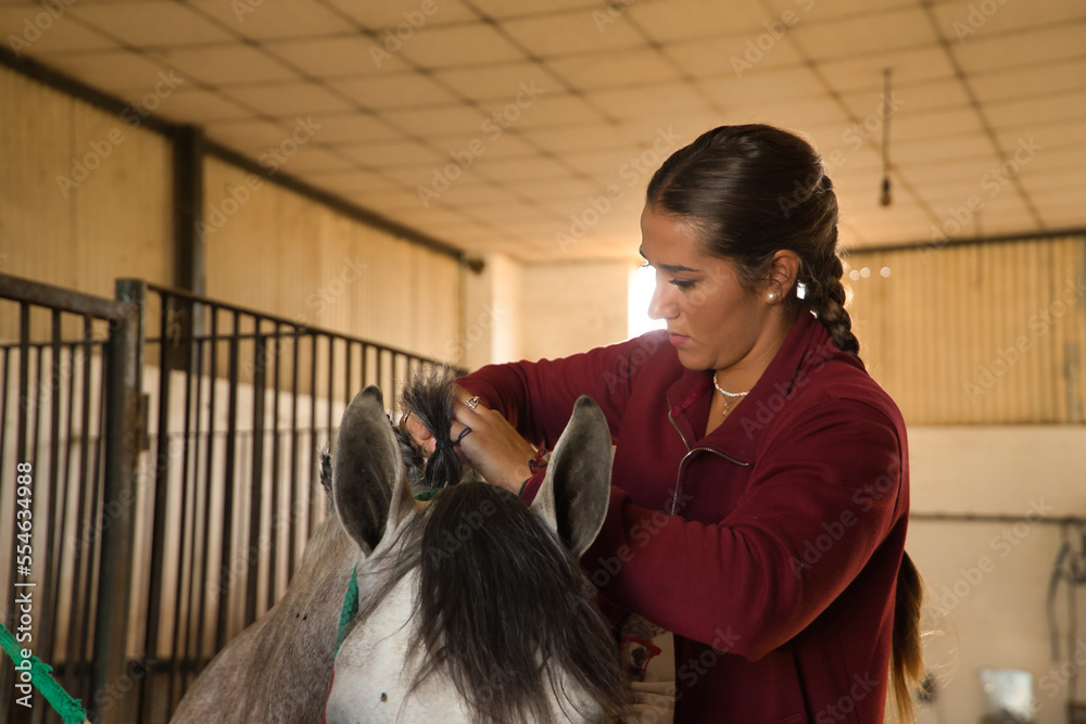 Young and beautiful woman braiding the mane of a horse in a stable ...