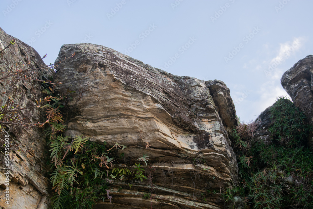 Different types of stones used for pathways, walls and decoration ...