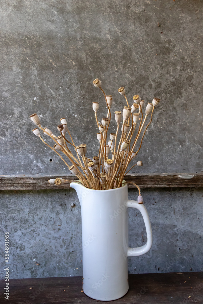 Dry poppy heads and stems without petals. Dried, inside a white clay ...