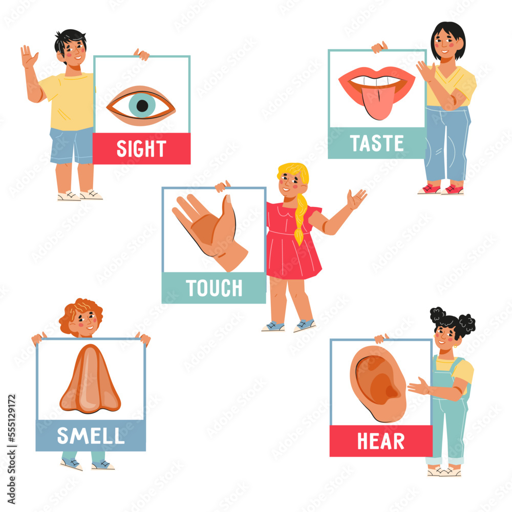 Children holding five senses cards, flat vector illustration isolated ...