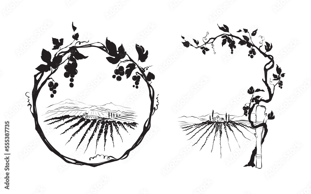 Grapevine - vector illustration. Design elements with a twisting vine ...