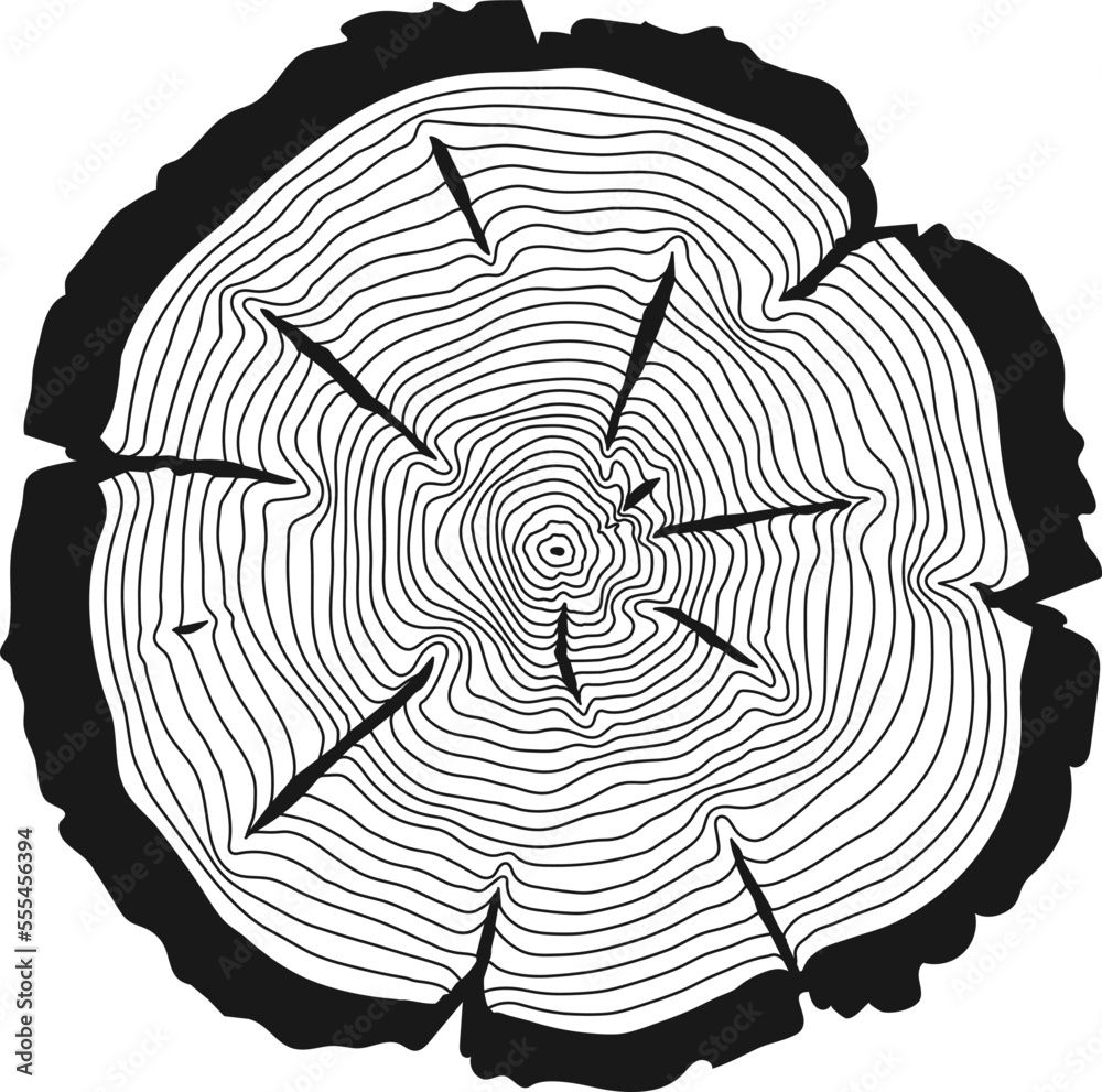 Trunk cut with concentric tree rings. Linear wood texture Stock Vector ...