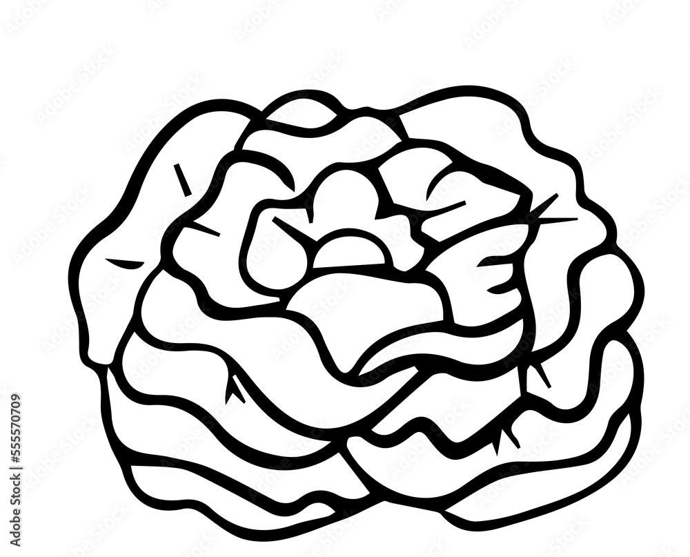 vegetables cartoon doodle kawaii anime coloring page cute illustration ...