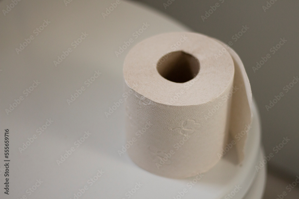 Toilet paper on the toilet. Restroom home. Health of the stomach and ...