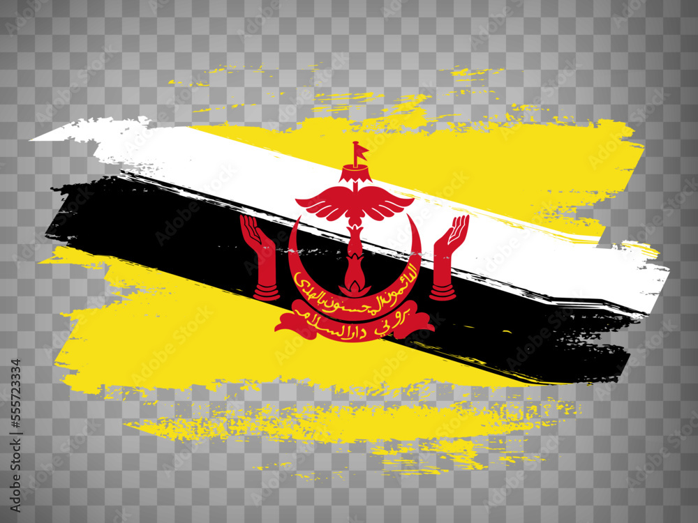 Flag of Brunei brush stroke background. Flag Brunei on transparent ...