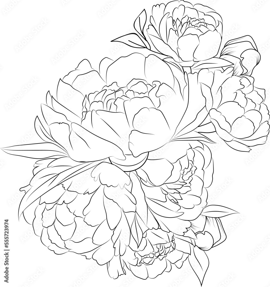 Easy sketch art of peony flower, line art bouquets of floral hand drawn ...