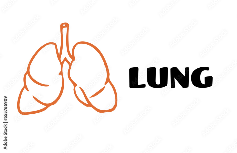 Lung organ sketch drawing vector Stock Vector | Adobe Stock