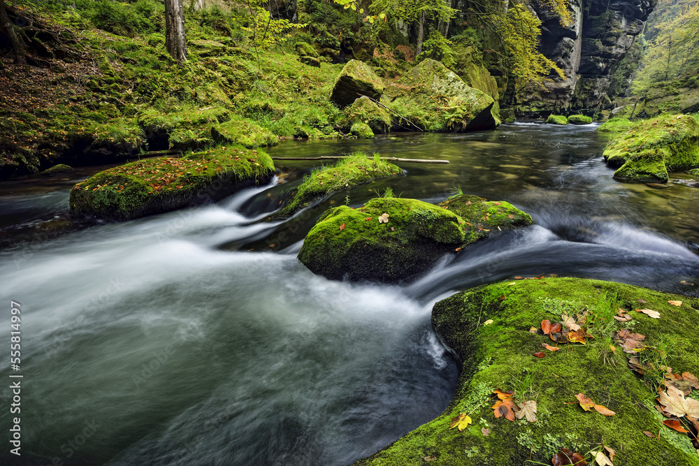 River Kamnitz (Kamenice) in the Edmundsklamm (Edmund Gorge) with moss ...