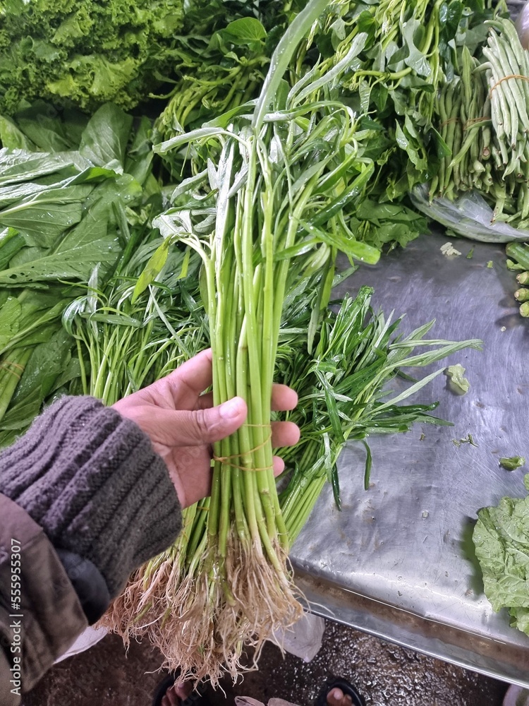 Hands holding fresh morning glory. A butler is shopping for vegetables ...