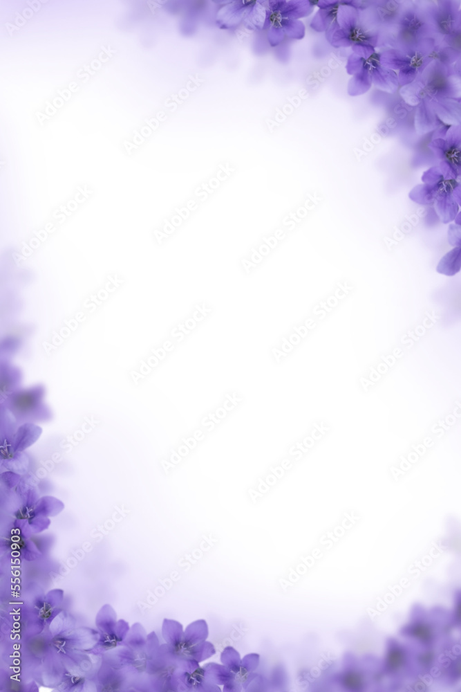 violet flowers frame background png Stock Photo | Adobe Stock