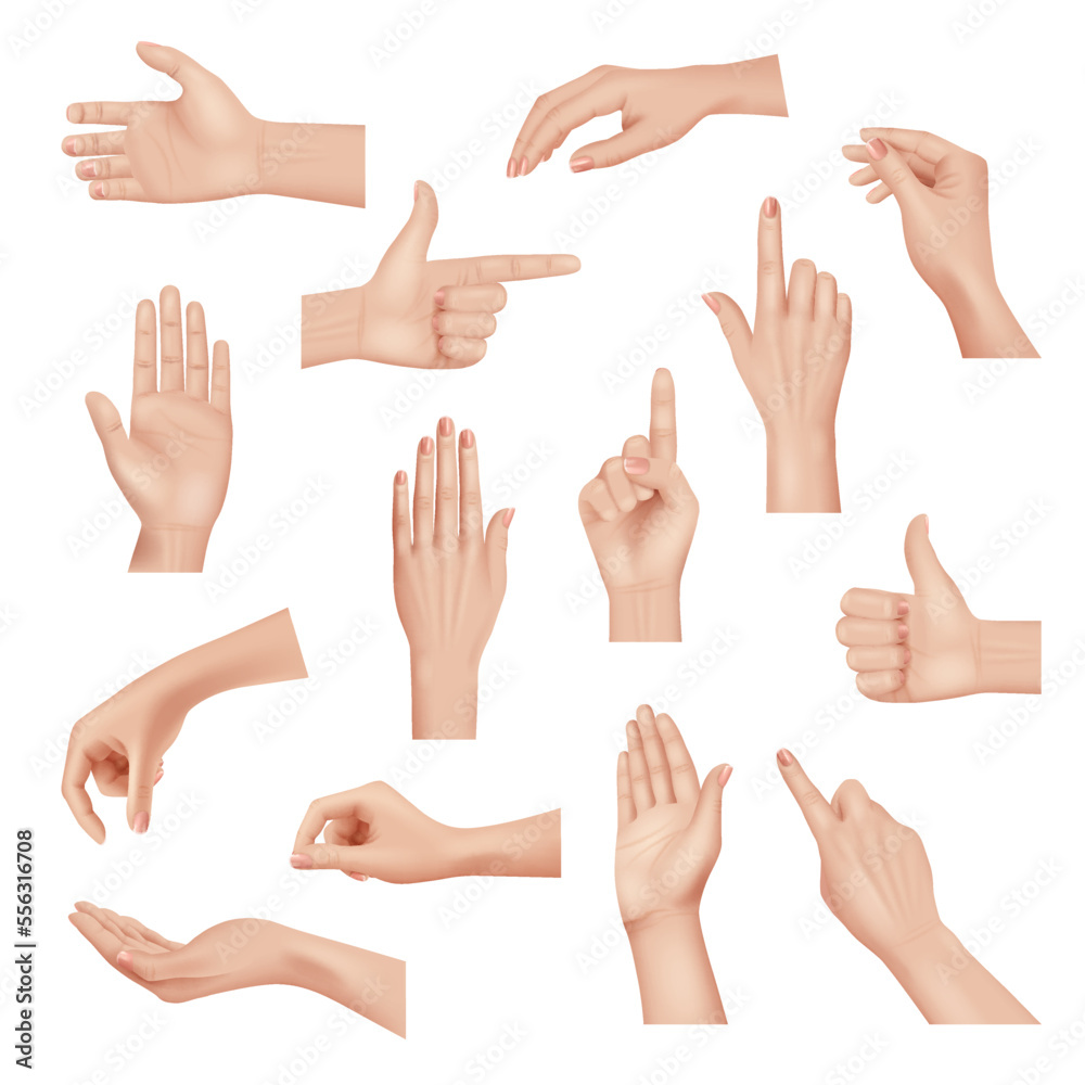 Hands gestures. Realistic detailed anatomic people body parts human ...