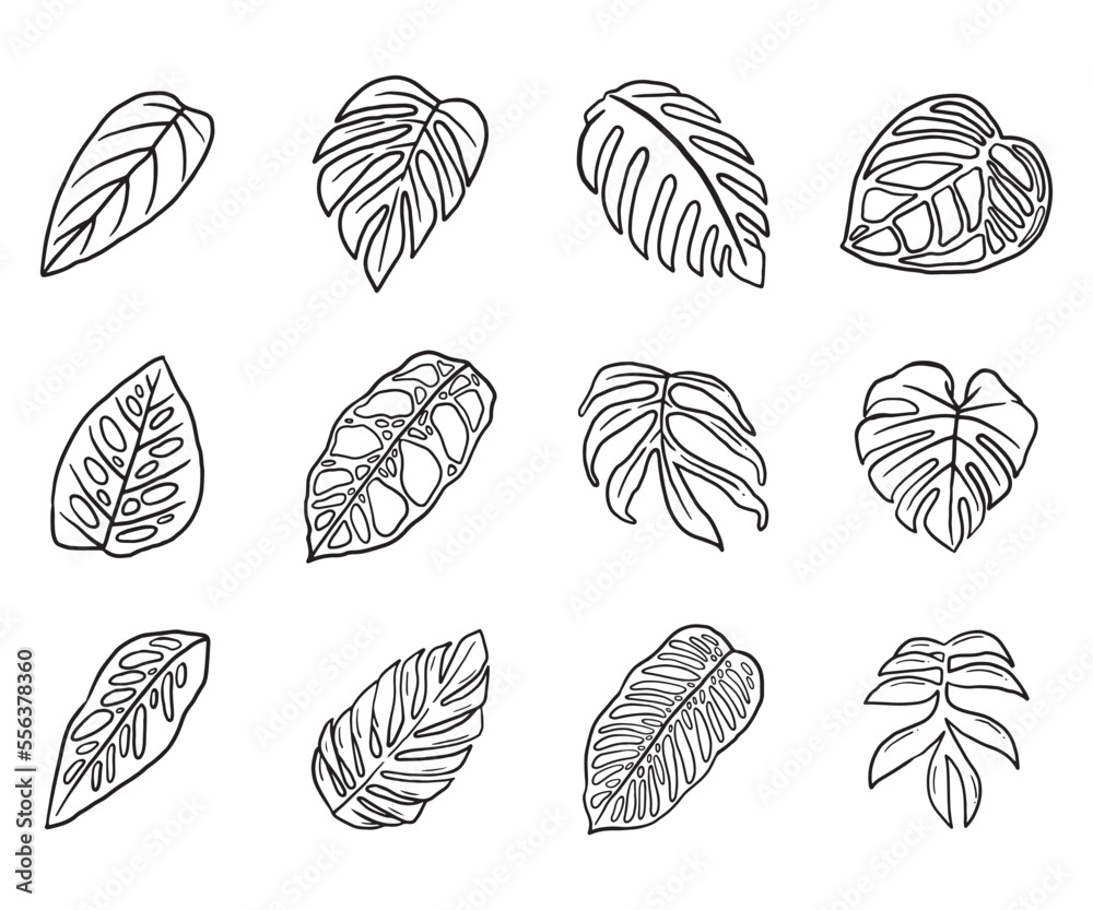 Tropical plant leaf doodle icon Stock Vector | Adobe Stock