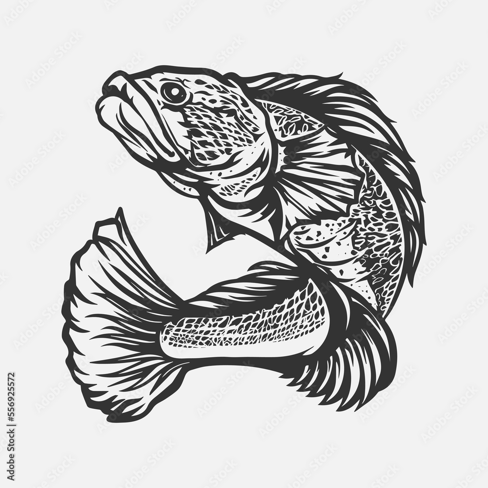 Easy to use isolated channa fish vector illustration with stunning ...