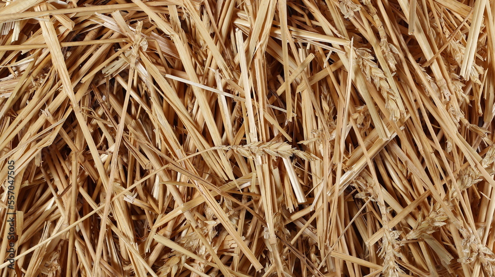 Straw, thatch, hay pile background and texture Stock Photo | Adobe Stock