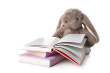 Bunny Rabbit With Books Free Stock Photo - Public Domain Pictures