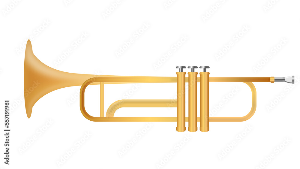 Isolated cornet of Musical instrument on PNG White transparent ...