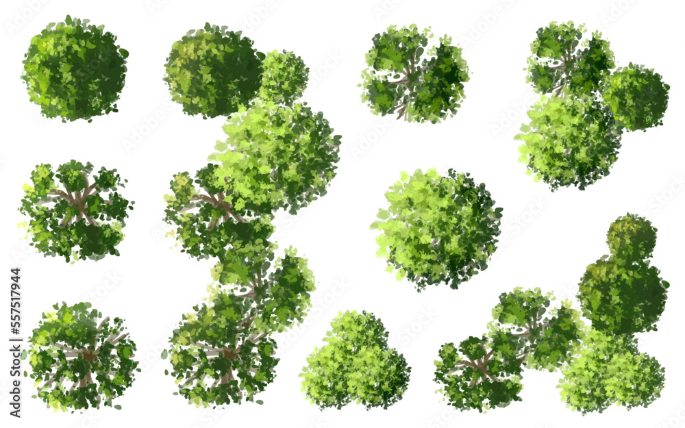 Vector watercolor of green tree top view isolated on white background ...