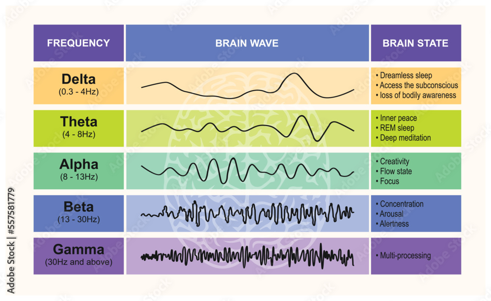 Brain waves Delta, Theta, Alpha, Beta, Gamma vector illustration chart ... Brain waves Delta, Theta, Alpha, Beta, Gamma vector illustration chart ...