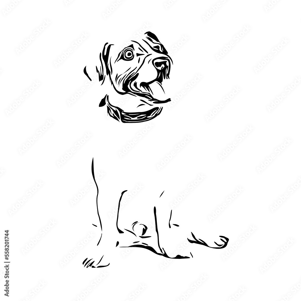 black and white drawing sketch of a dog with a transparent background ...