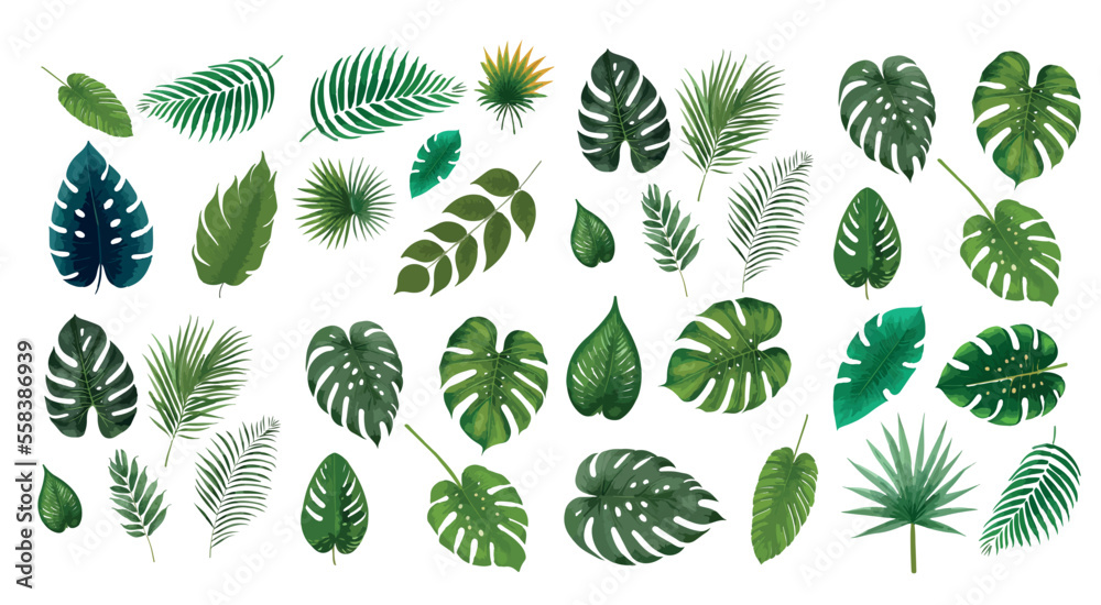 Tropical exotic leaves vector. Realistic jungle leaves set isolated ... Tropical exotic leaves vector. Realistic jungle leaves set isolated ...
