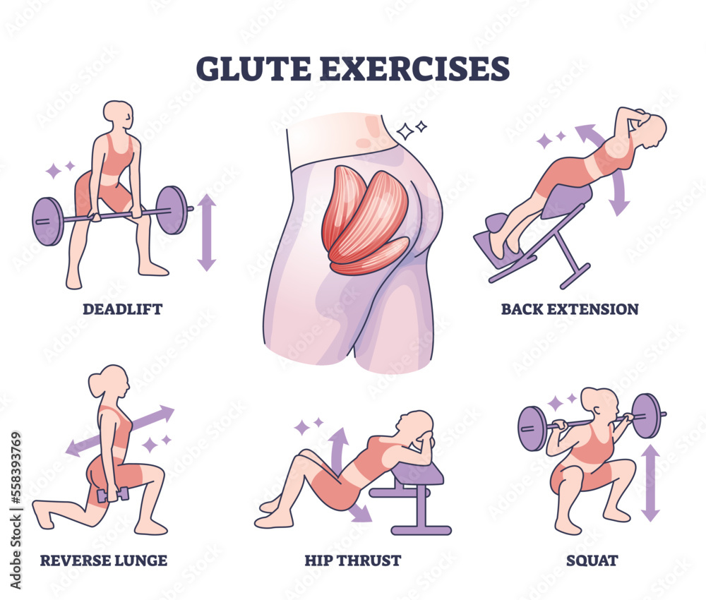 Glute exercises with body buttocks sport training examples outline ...