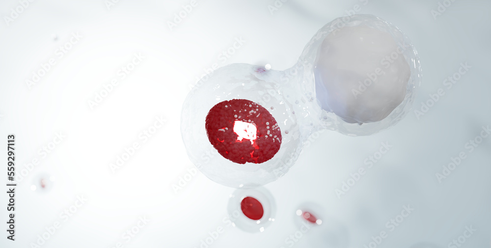 ฺBiology microscope Cell health transfer with blood repair, hematology ...