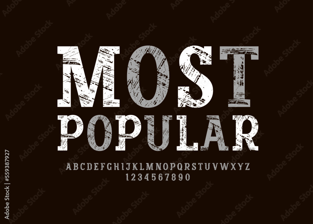 Slab serif font alphabet, bold textured letters and numbers, vector ...