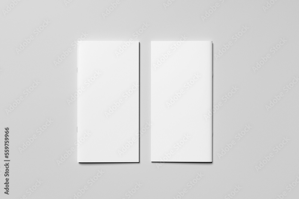 DL Brochure %2F Magazine Mockup Stock Illustration | Adobe Stock
