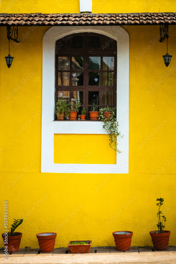 Zdjęcie bez tantiem: Vintage walls and windows windows of Goan houses ...