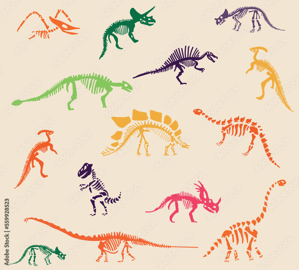 Dinosaur skeleton set diplodocus, triceratops, t-rex, stegosaurus ...