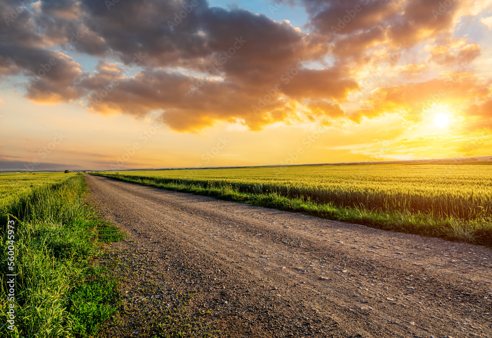 Country Road Backgrounds