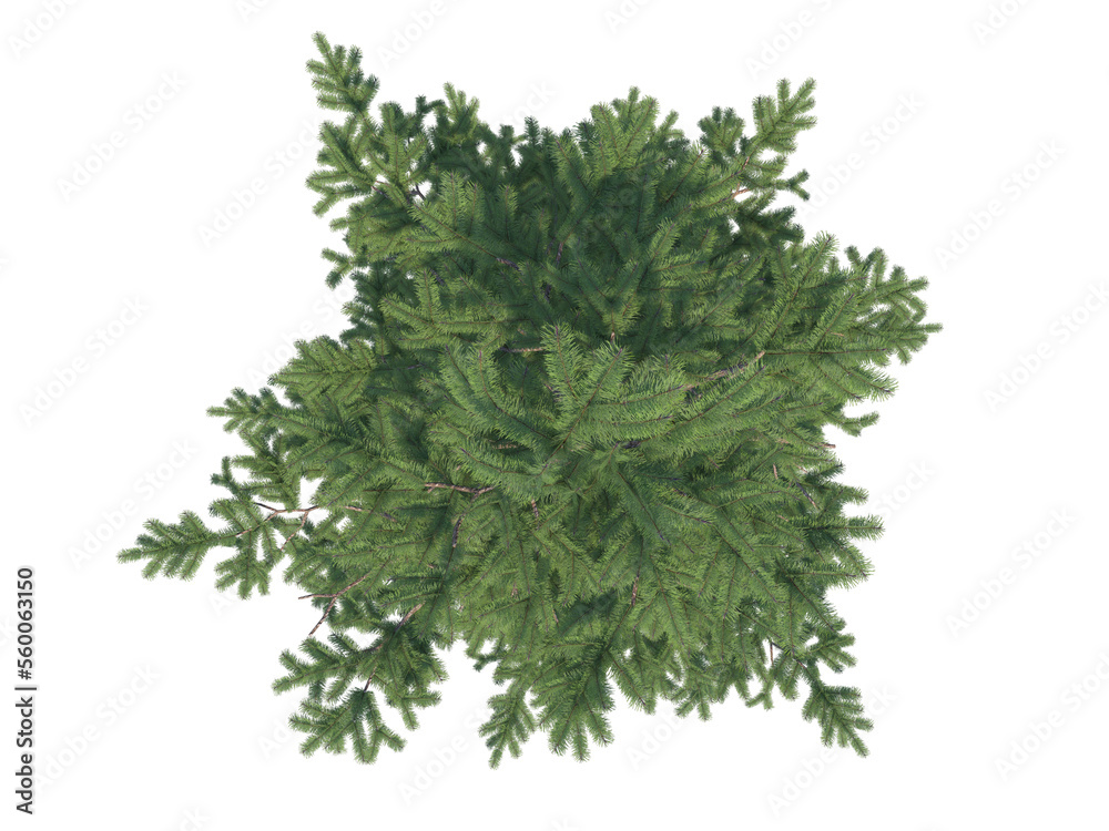 Pine Tree top view png alpha channel Stock Illustration | Adobe Stock