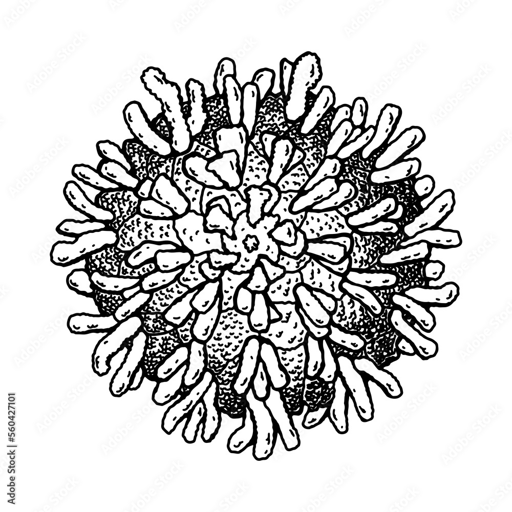 Hand drawn polio virus isolated on white background. Realistic detailed ...