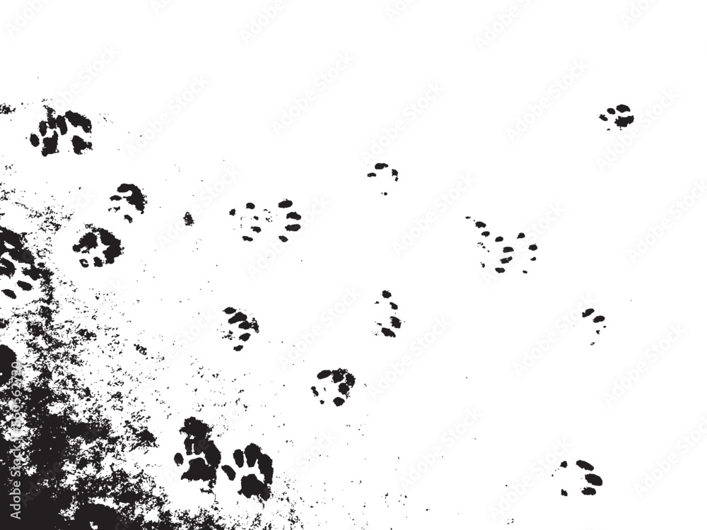Vector grunge texture of a large number of cat paw prints on the snow ...