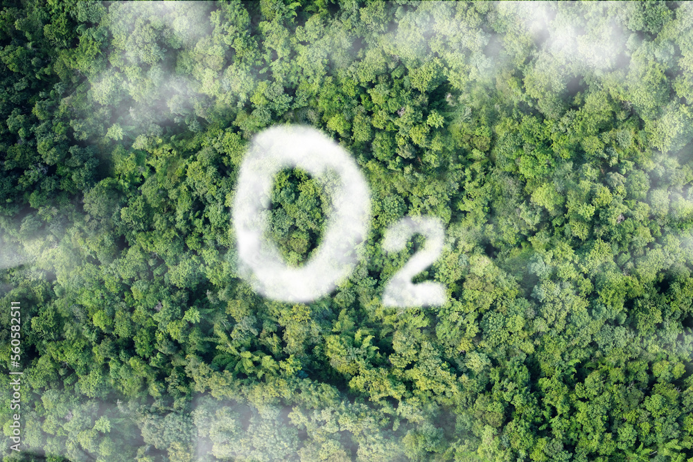 Cloud oxygen O2 and carbon dioxide CO2 molecules - Carbon dioxide ...