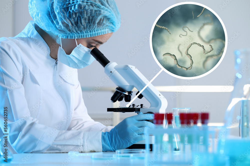 Laboratory worker using modern microscope to examine helminths indoors ...