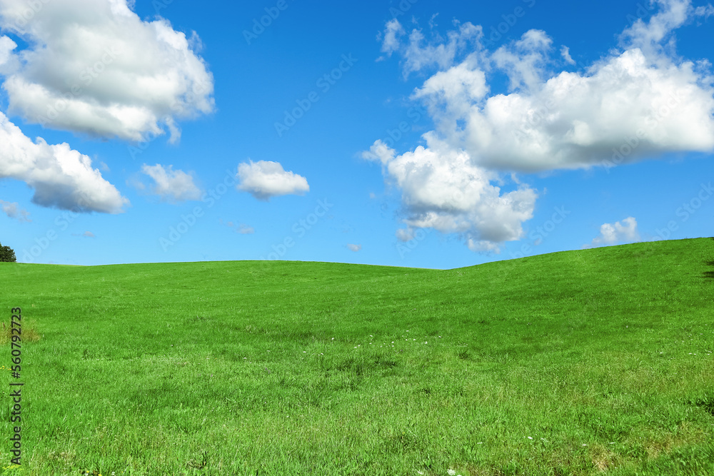 Green grass field and blue sky with clouds, aesthetic nature background. Idyllic grassland ...