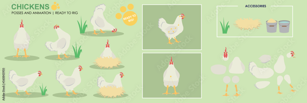 Cute Chicken whitecharacter hen ready to animate, multiple angles and ...