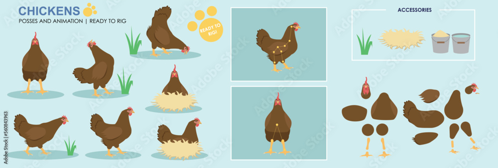 Cute Chicken brown character hen ready to animate, multiple angles and ...