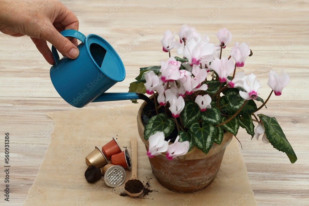 Coffee ground from espresso coffee capsules dissolved in water as ...