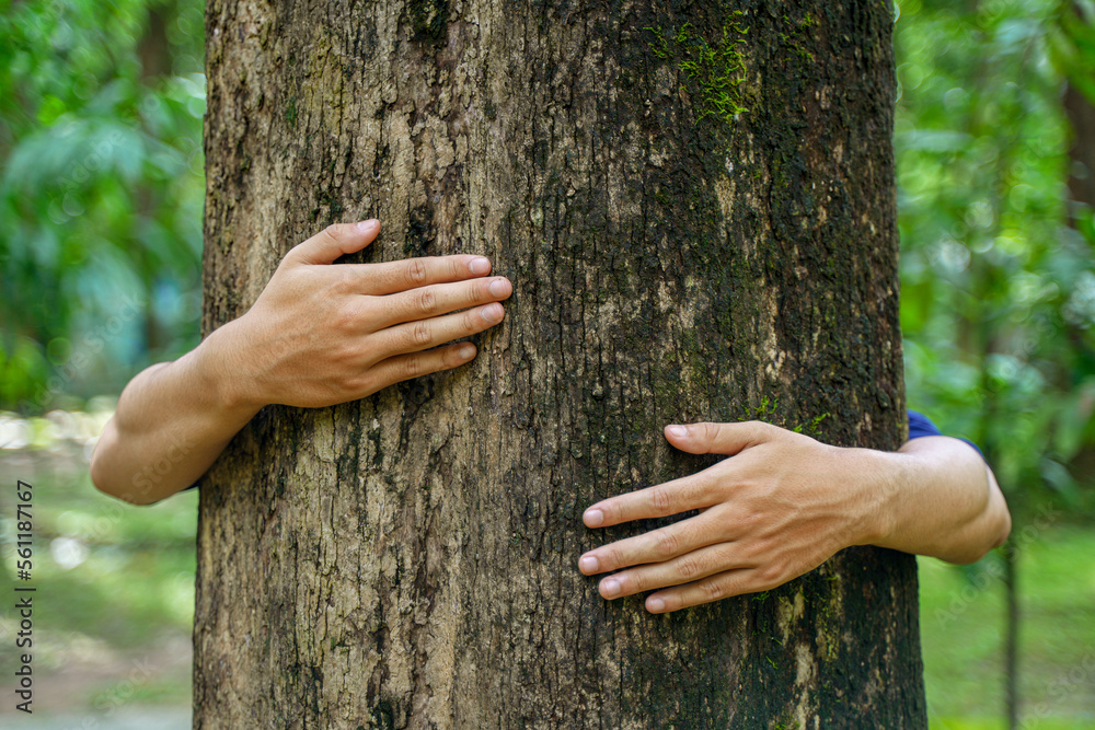 Net Zero and Carbon Neutral Concepts Net Zero Emissions Goals Weather ...