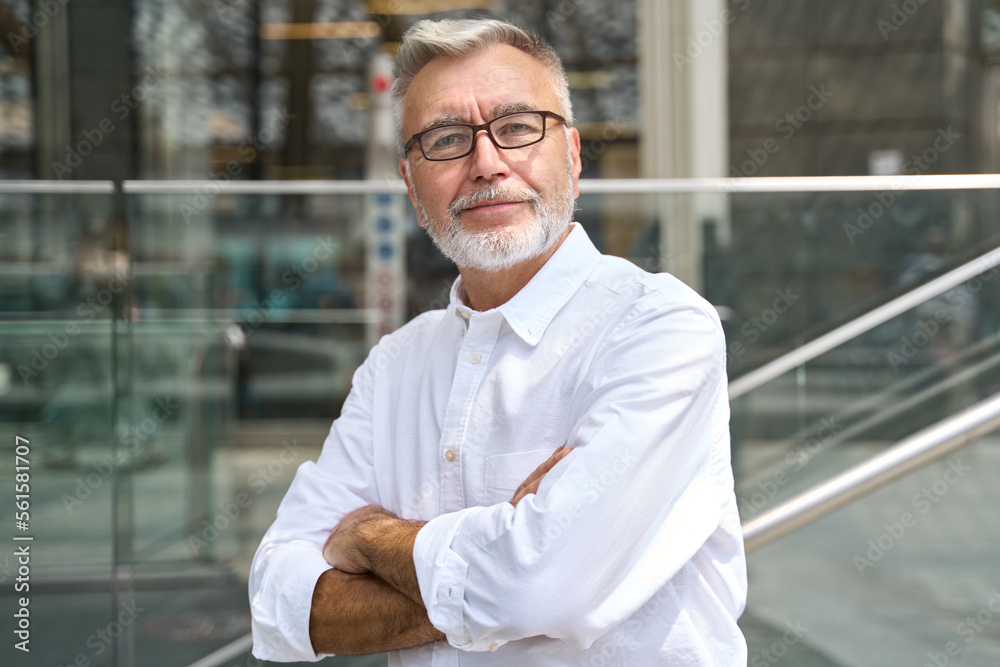 Confident happy mature older business man leader, smiling middle aged ...