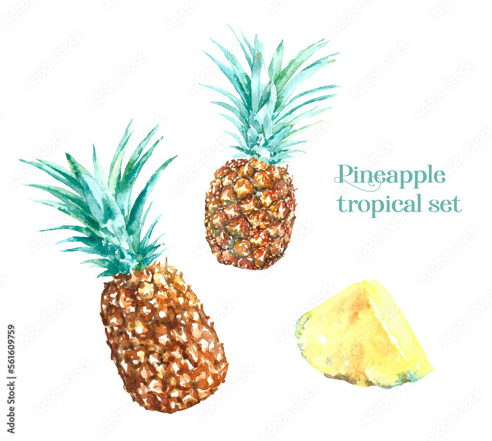 Stock-Illustration „Watercolor pineapple slice illustration. Tropical ...