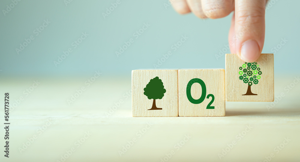 Mechanical trees for capturing carbon dioxide, carbon sequestration ...