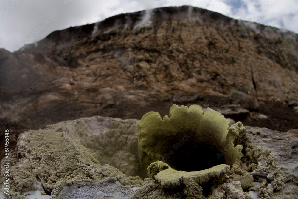 A tiny vent sends steam into the air deep inside the caldera of Alcedo ...